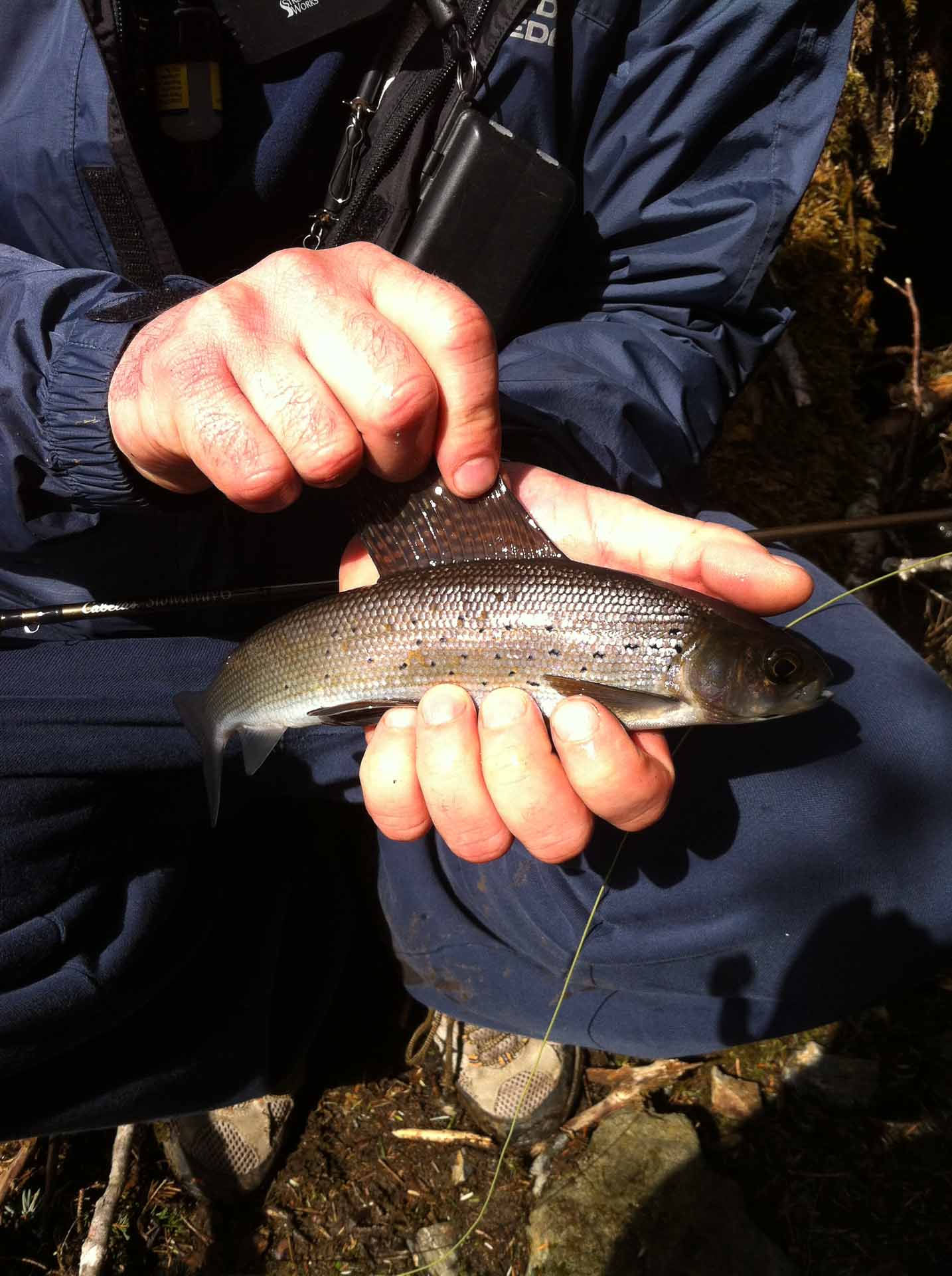 Alaska Fly Fishing — Sitka Alaska Outfitters