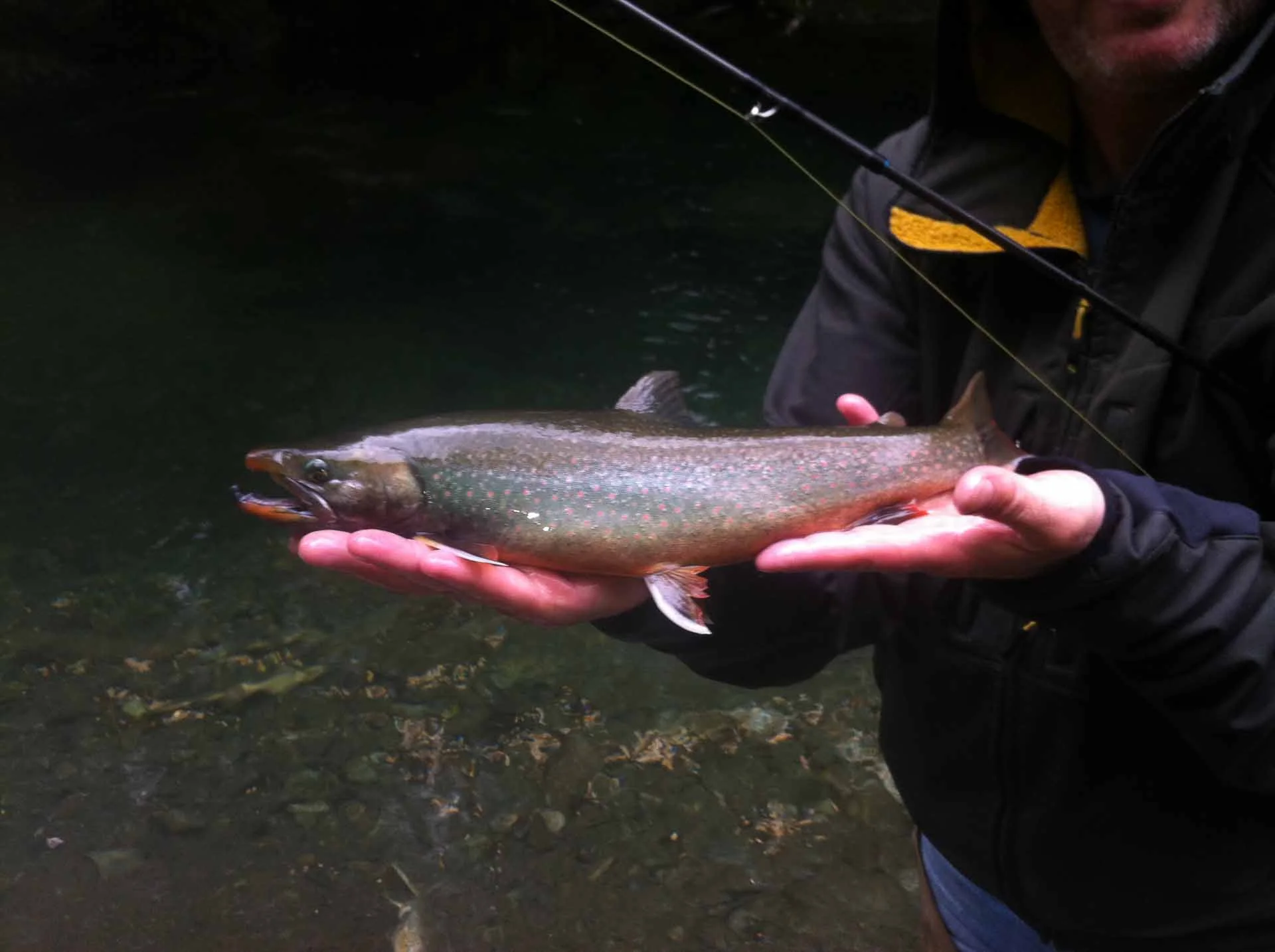 Alaska Fly Fishing — Sitka Alaska Outfitters