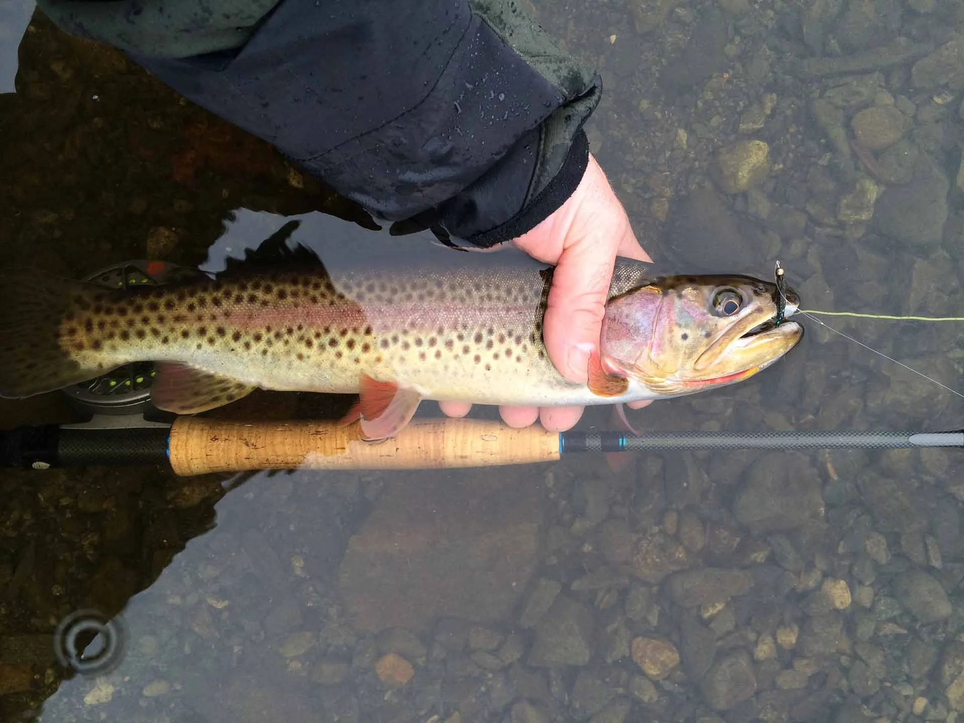 Alaska Fly Fishing — Sitka Alaska Outfitters