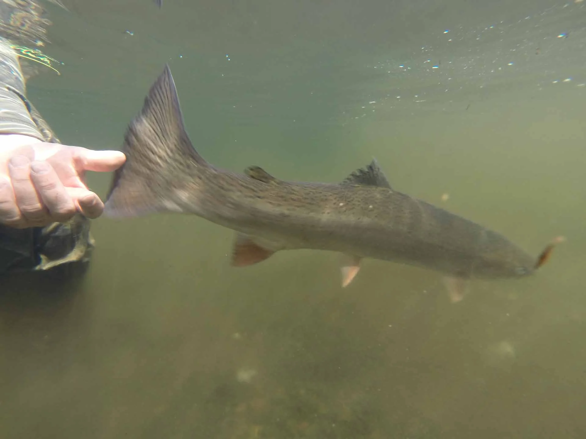 Alaska Fly Fishing — Sitka Alaska Outfitters