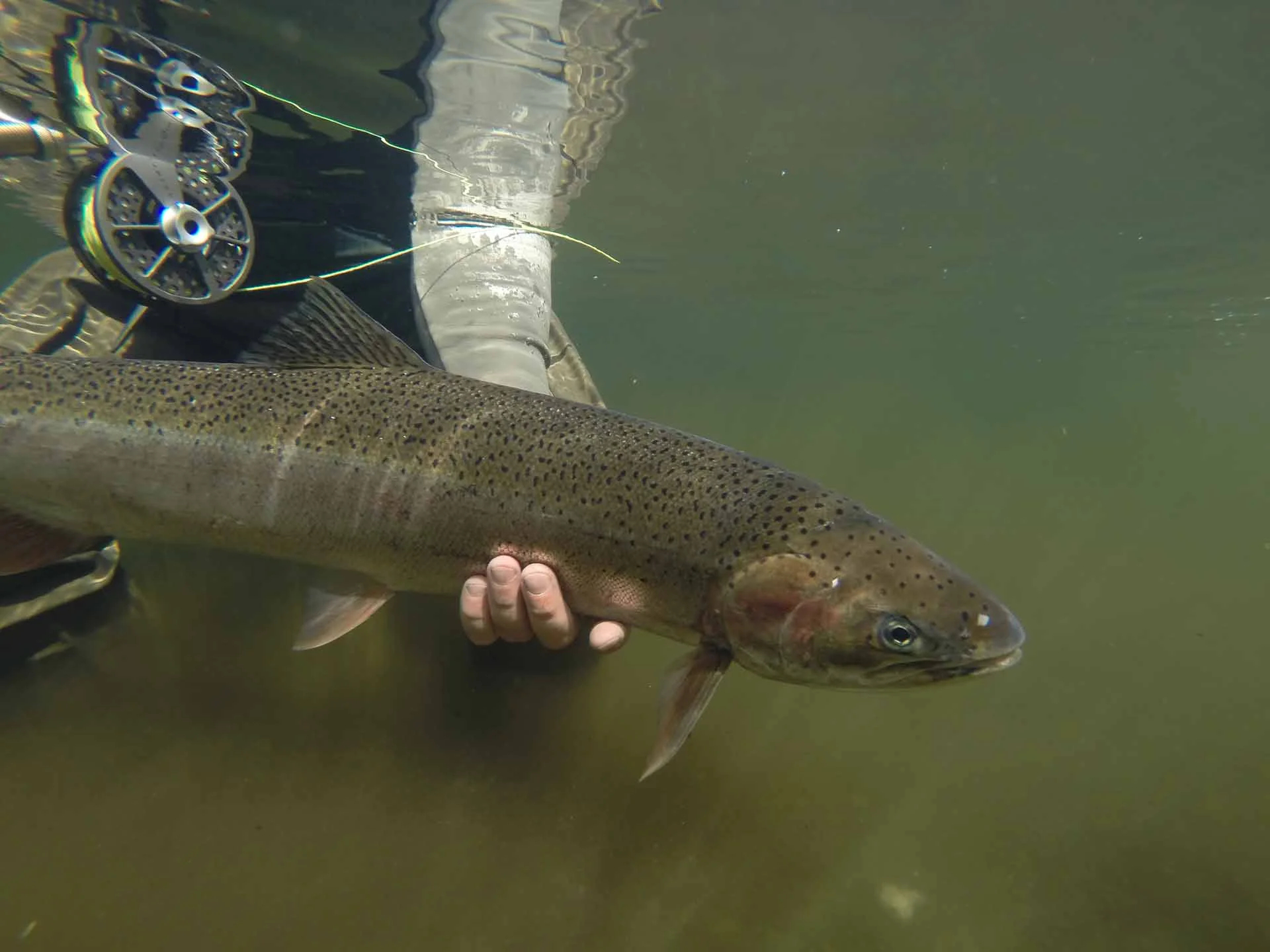 Alaska Fly Fishing — Sitka Alaska Outfitters