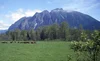 Mount Si — The Armchair Mountaineer