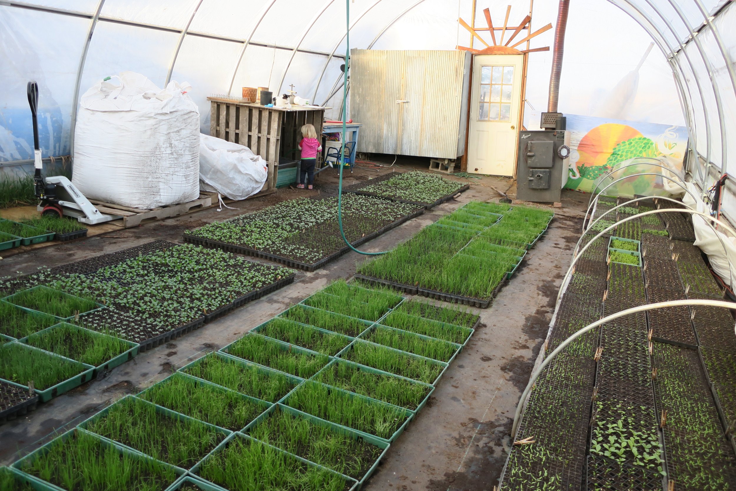 Photos — Spring Wind Farm