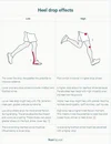 What is Heel-to-Toe Drop? — Terra Running Company