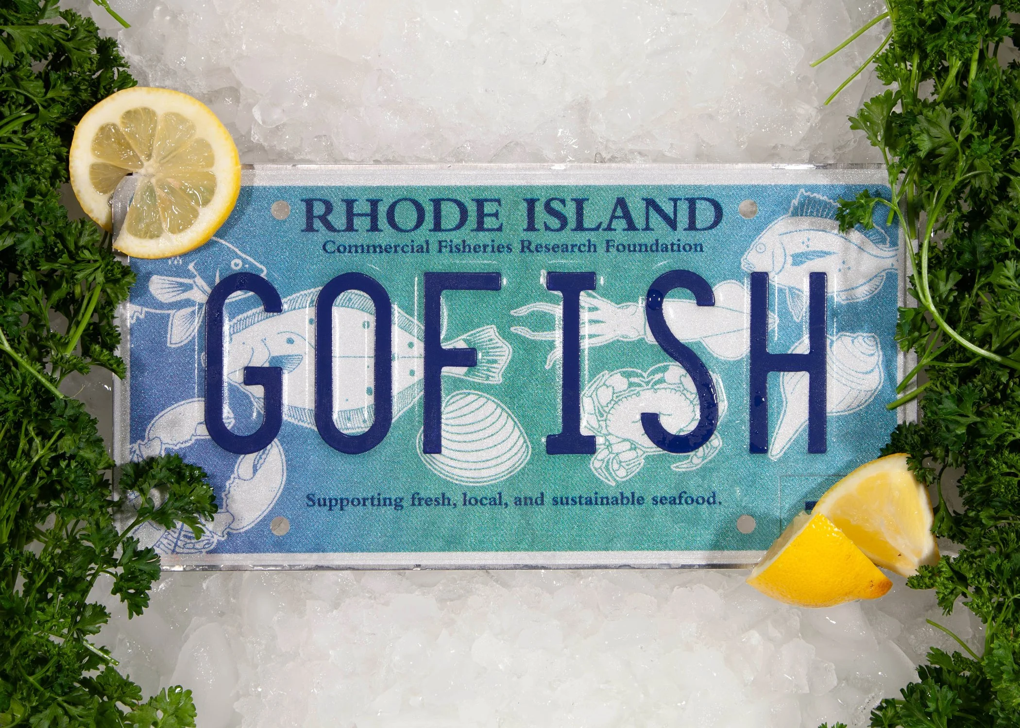 Rhode Island Charity License Plate Supports Sustainable Seafood — CFRF