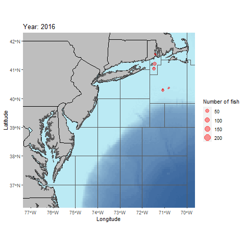 Black Sea Bass Research Fleet — CFRF