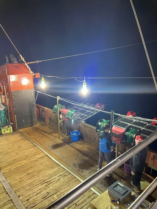 Squid Jigging for Fishery Resilience — CFRF