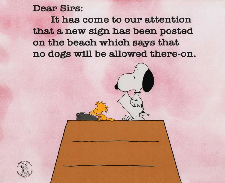 Snoopy Come Home Quotes 29 Snoopy's Home Ideas | Snoopy, Snoopy Love,