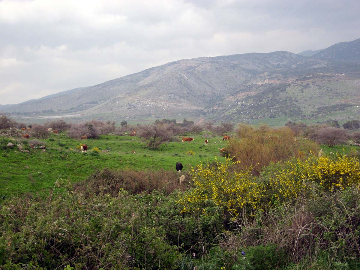 The Israel National Trail