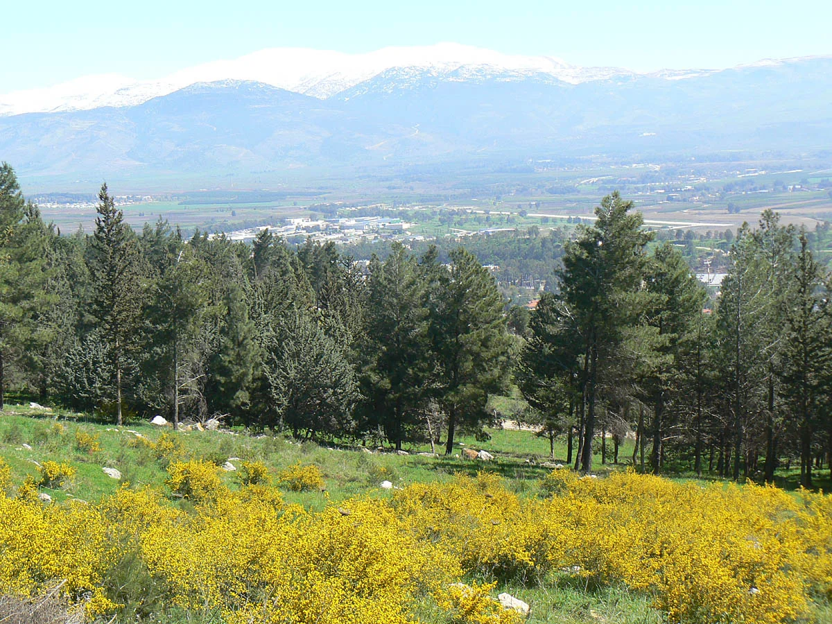 The Israel National Trail