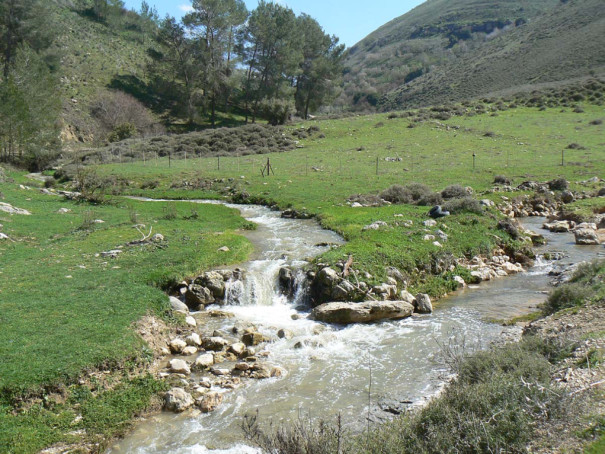 The Israel National Trail