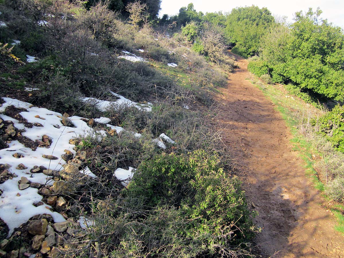 The Israel National Trail