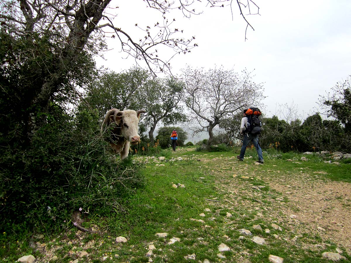 The Israel National Trail