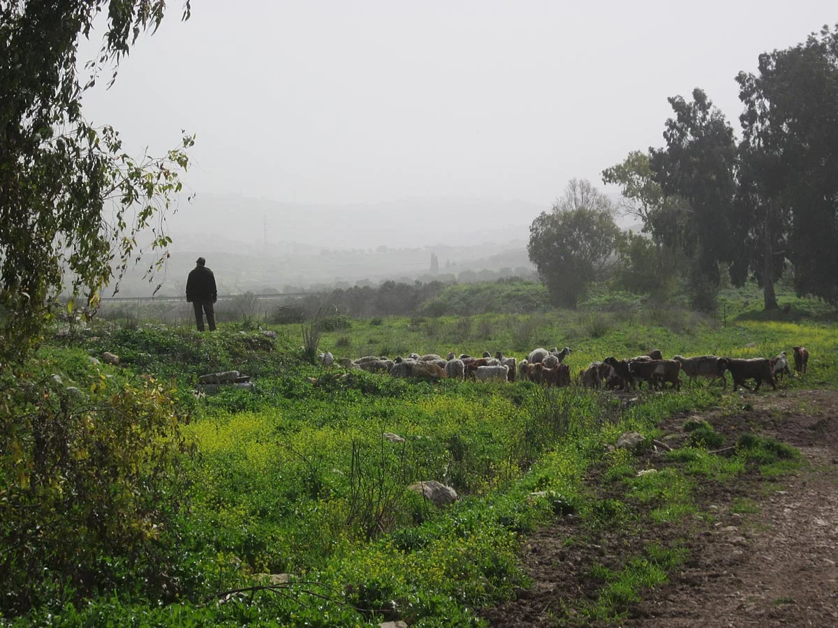 The Israel National Trail