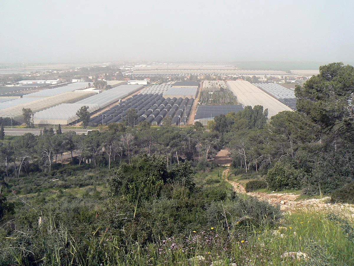 The Israel National Trail