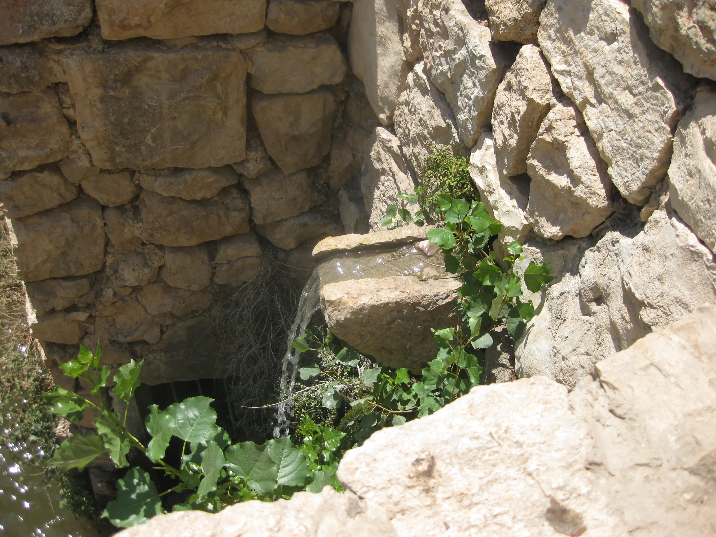 The Israel National Trail