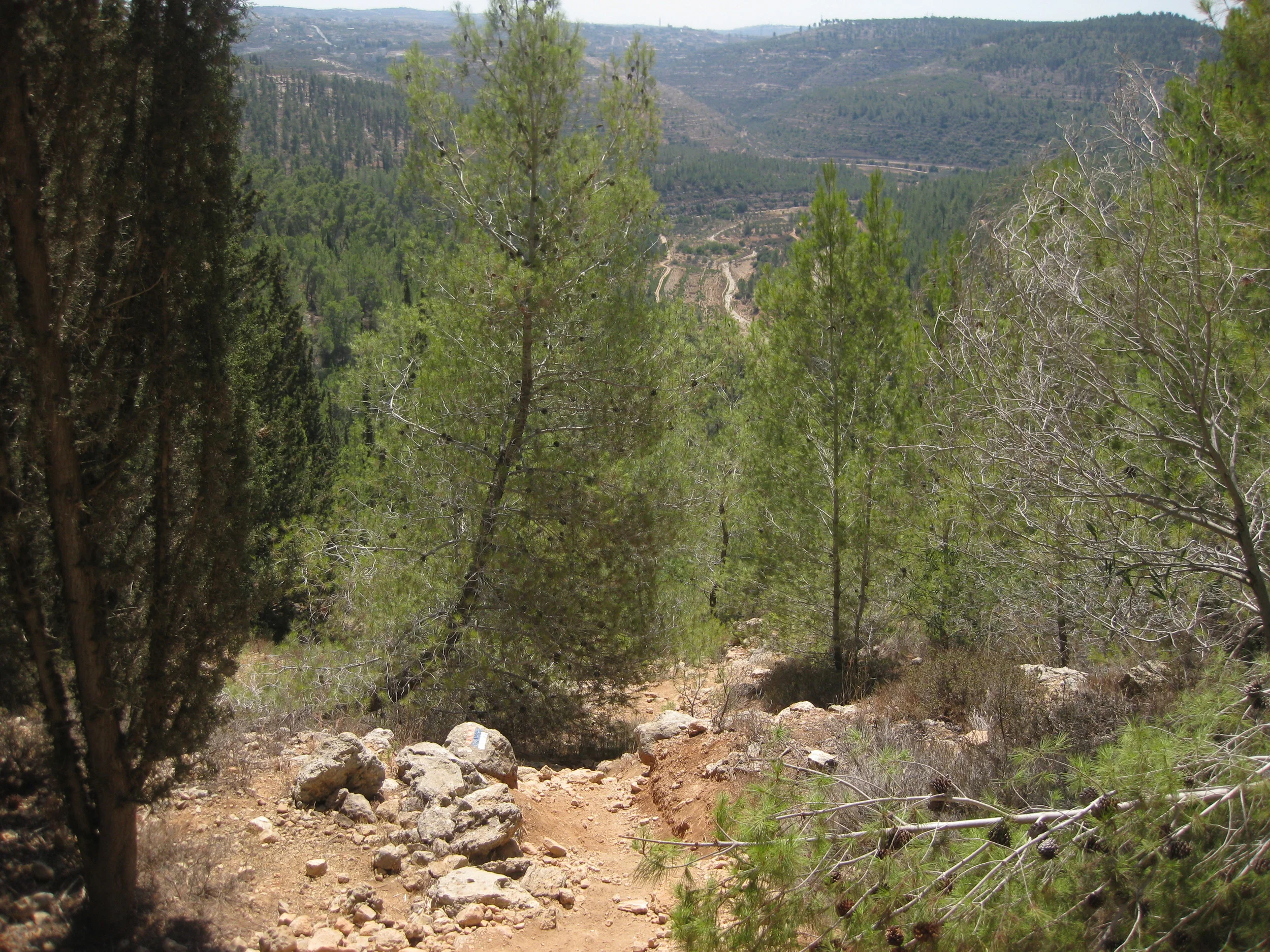 The Israel National Trail