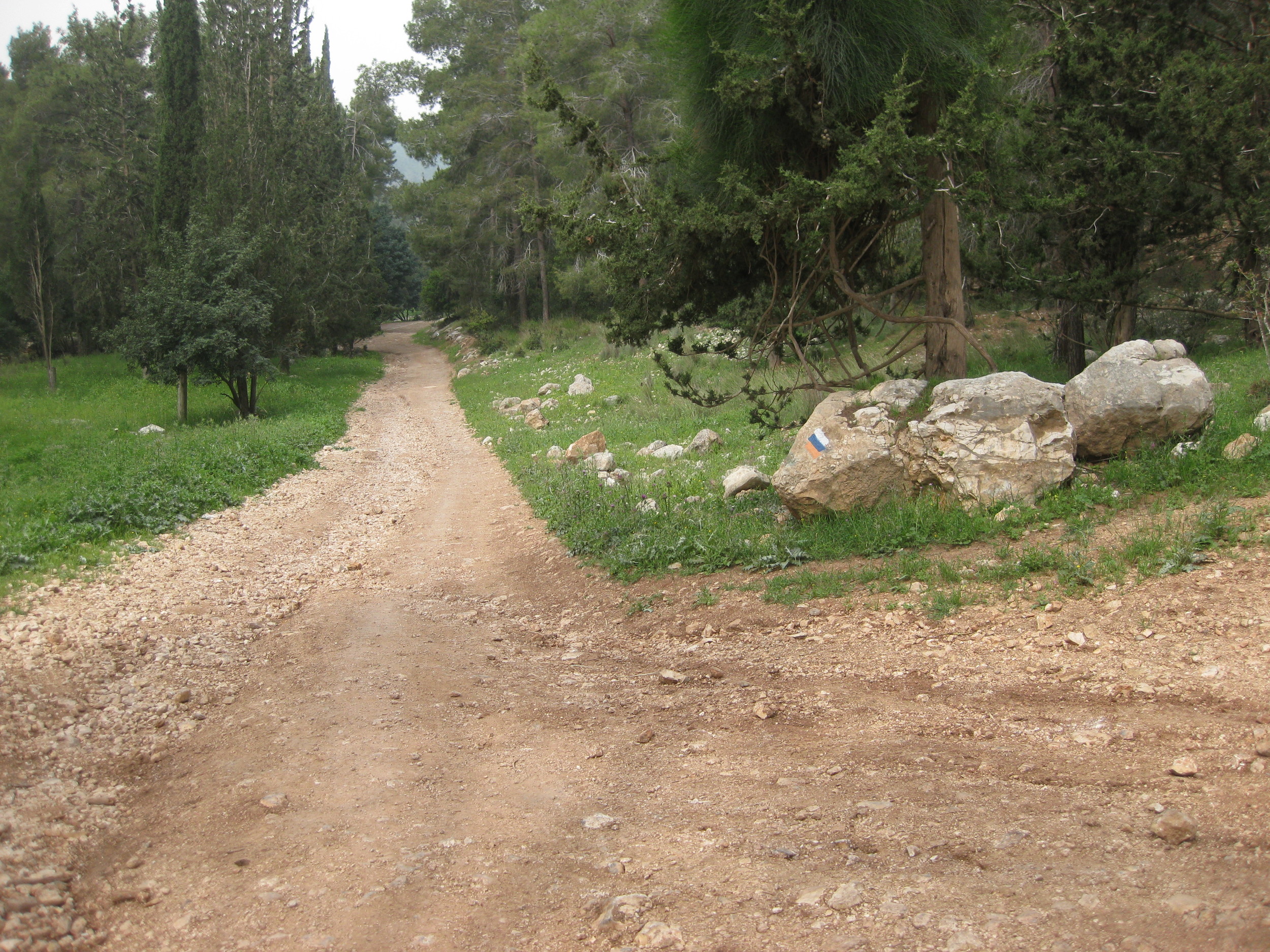 The Israel National Trail