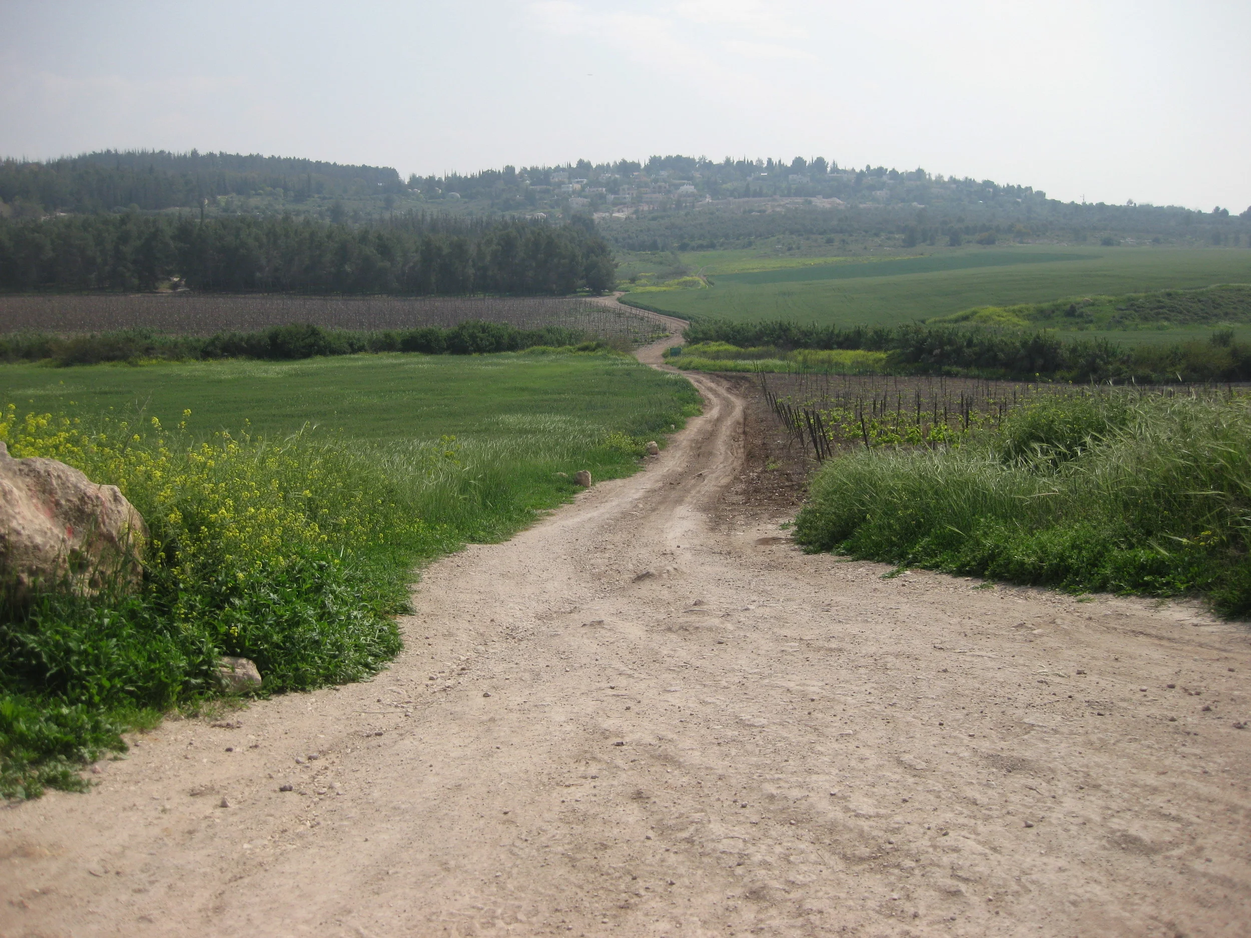 The Israel National Trail