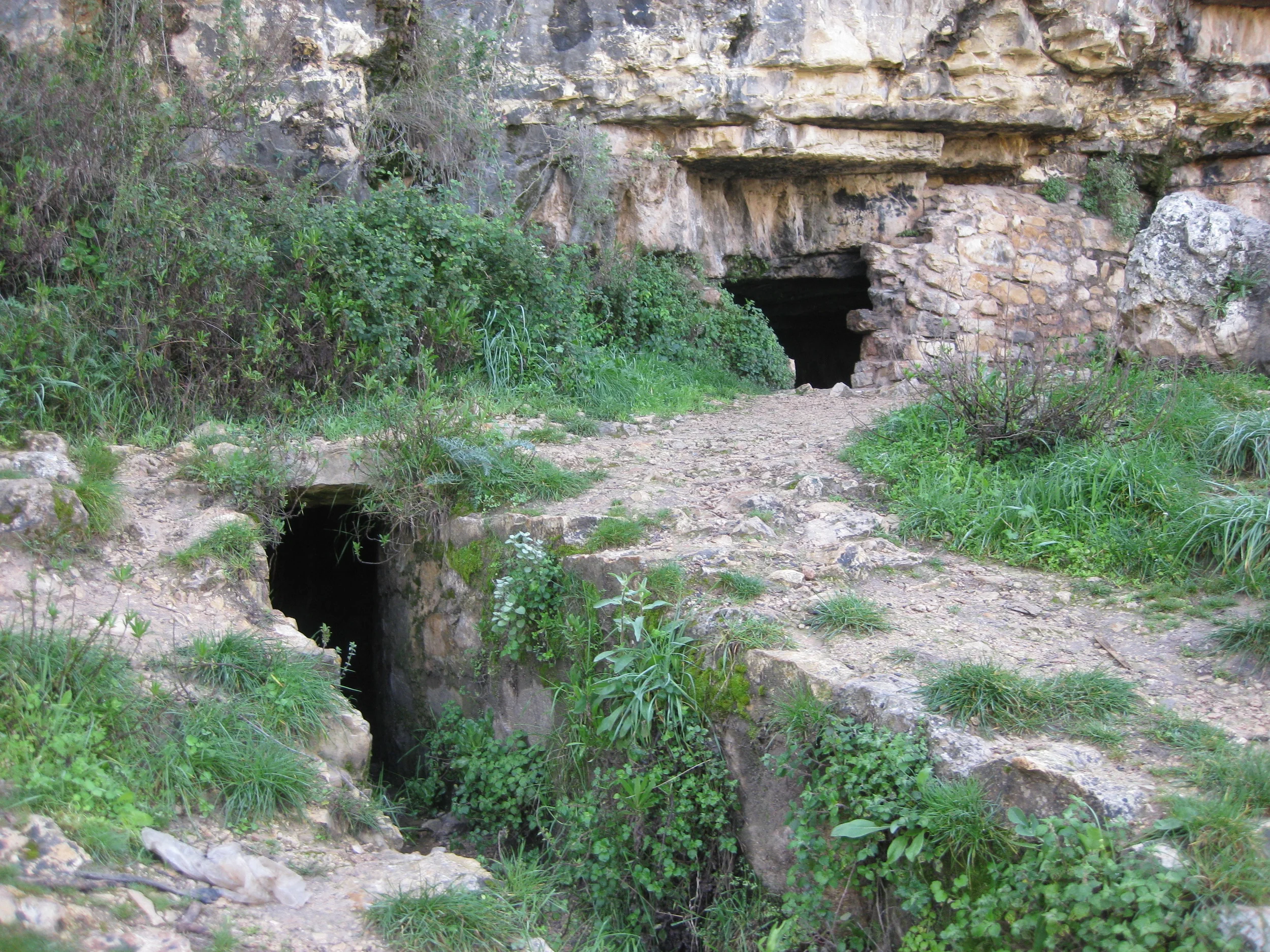 The Israel National Trail