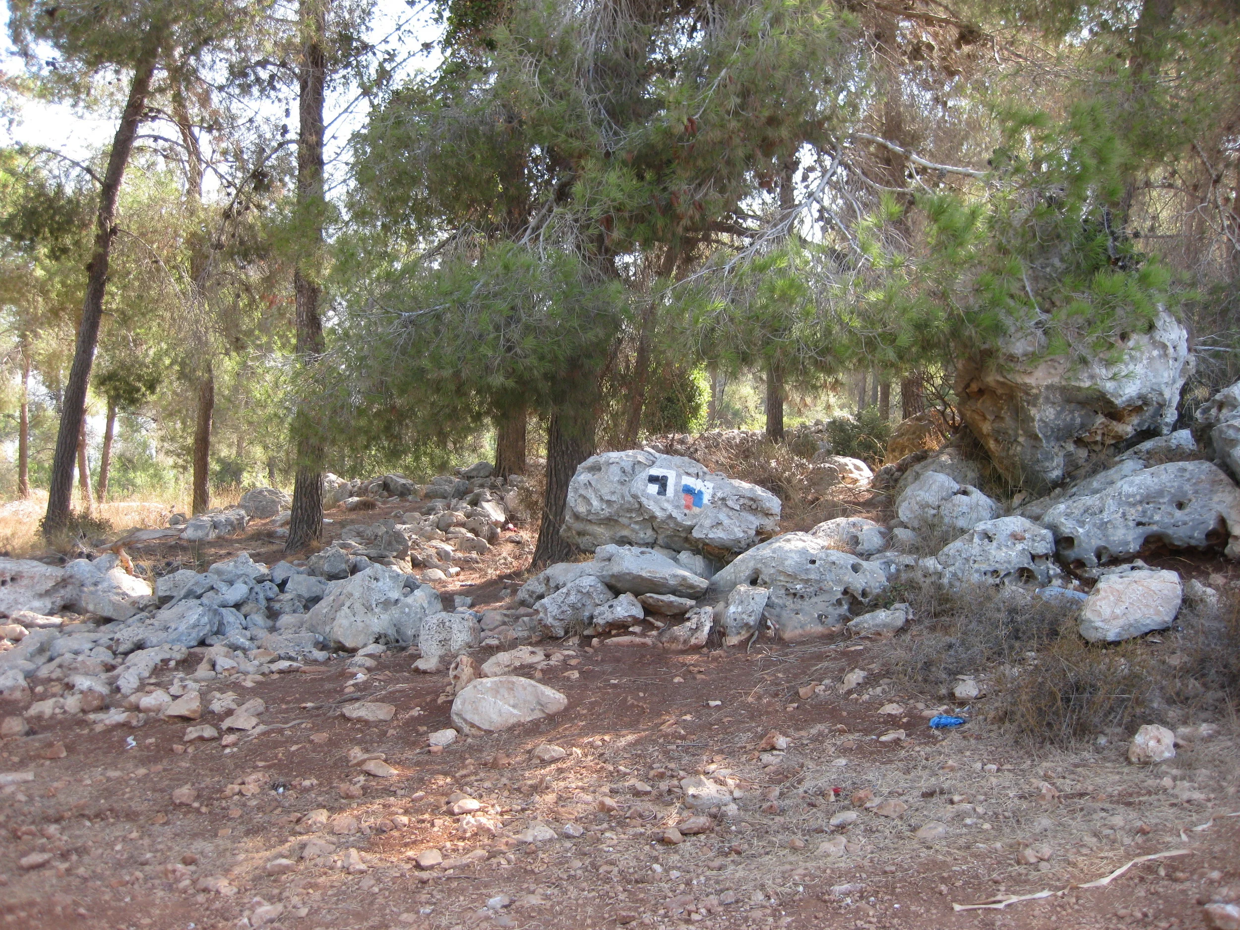 The Israel National Trail
