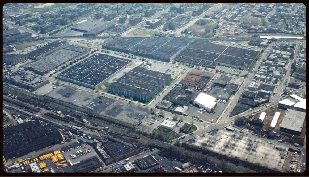 Management — Rentar Development Corp.