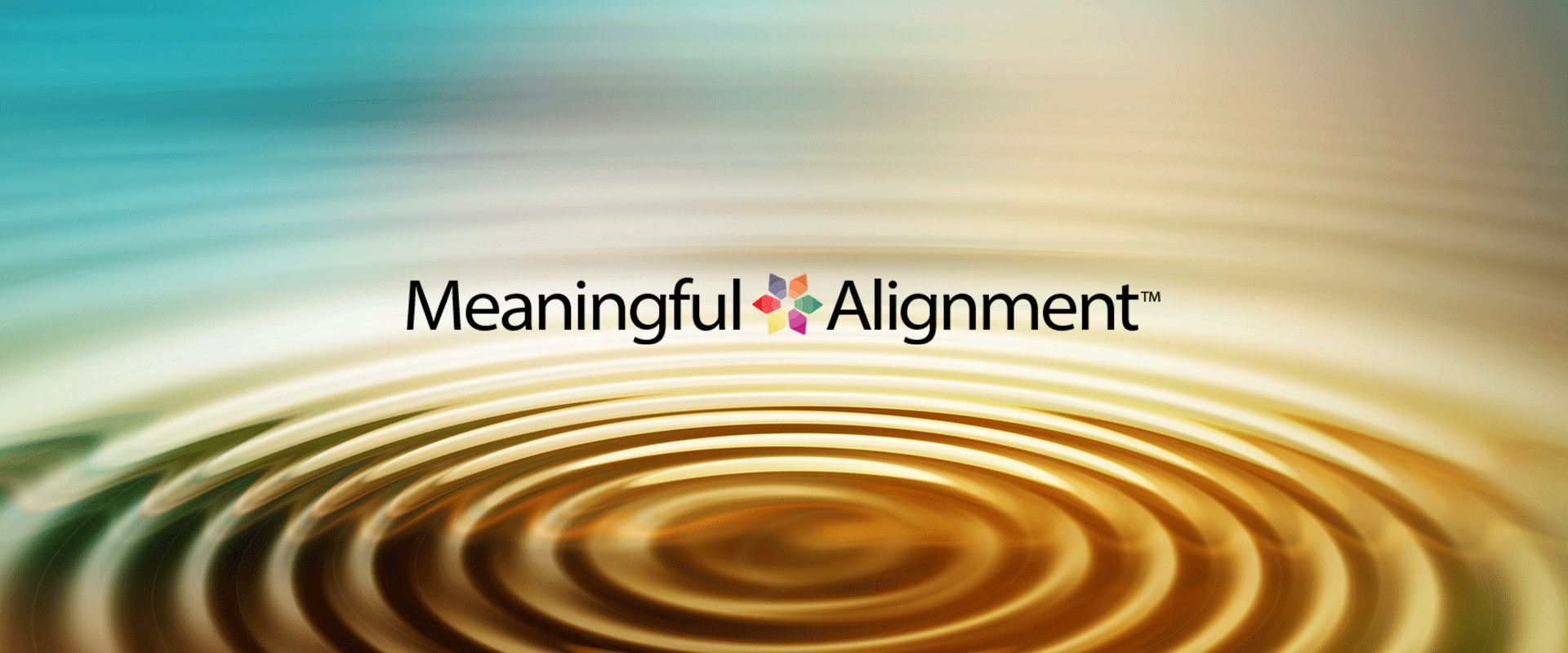 The World's Best Learning Content In One Place.