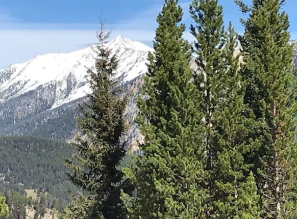 Spring Creek Reserve — Shelter Interiors