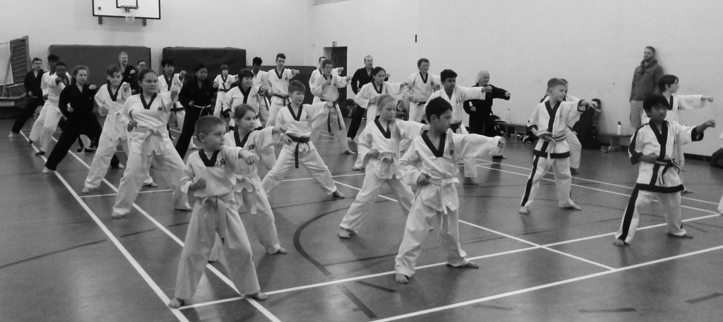Family Tae Kwon Do in Aylesbury — Bytomic TaeKwonDo