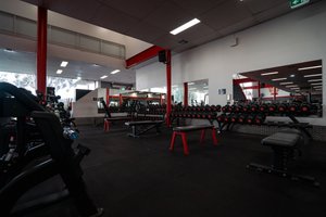 Clayton Gym | Training Day