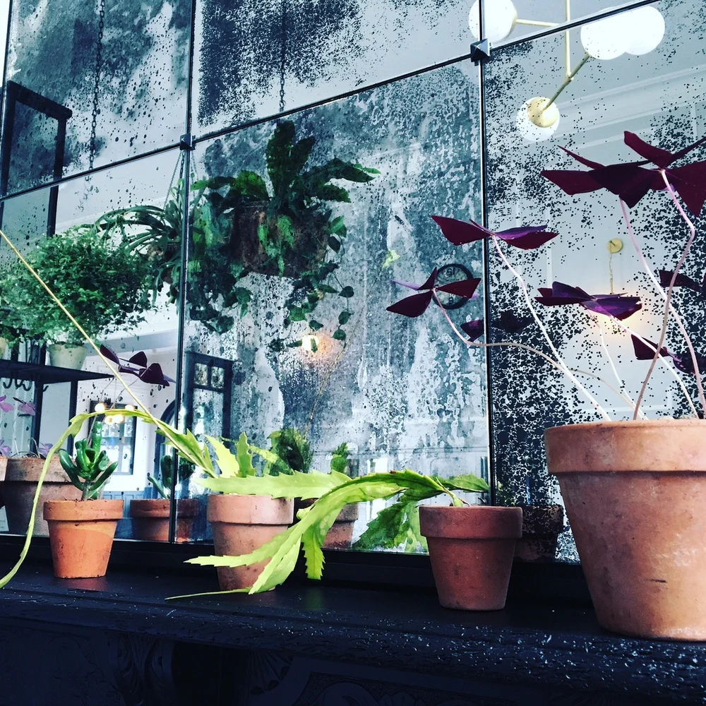 Augustus restaurant — Andy Hamilton Studio