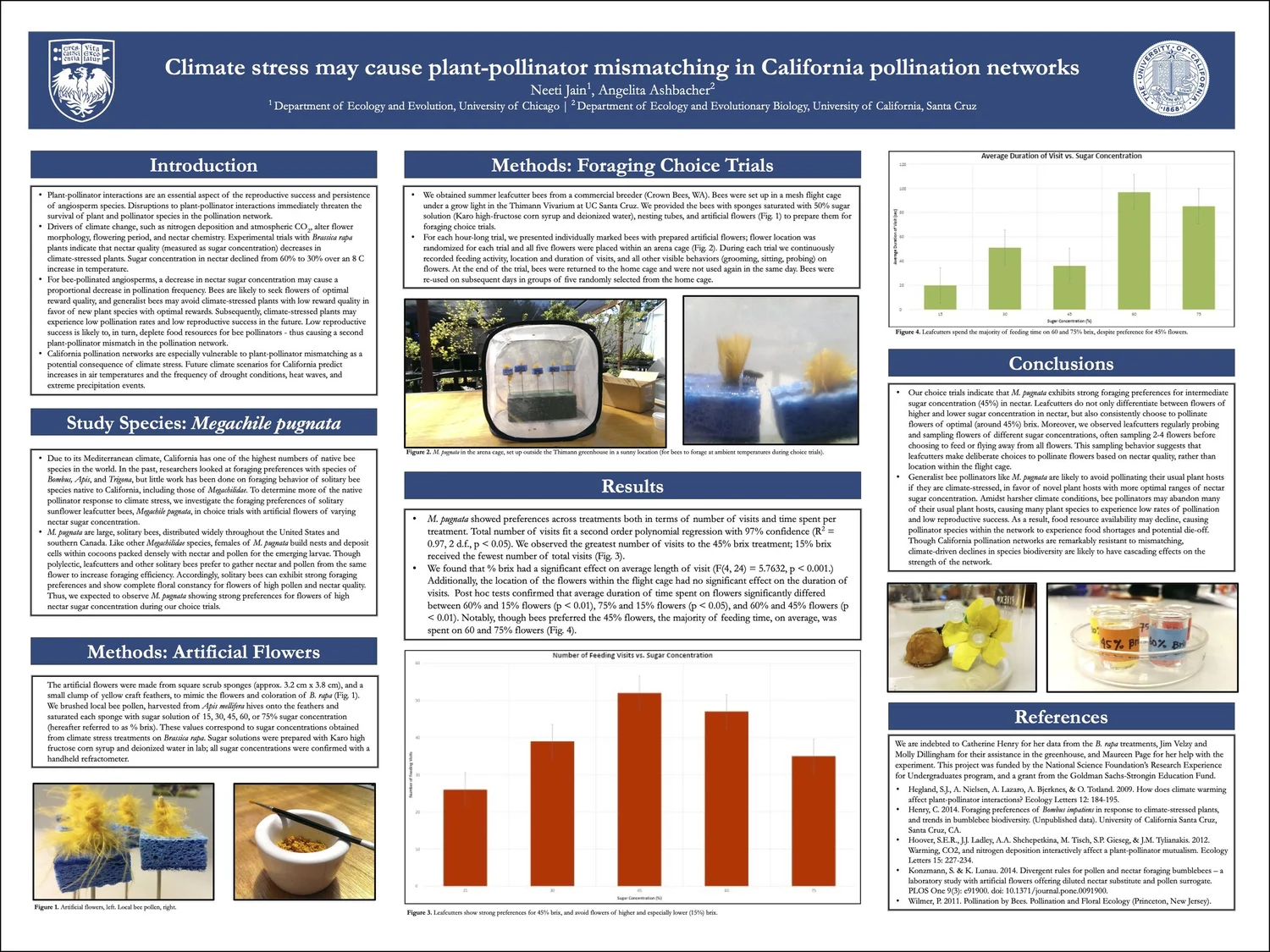 Fish Out of Water: Stories about feeling out of one's element — The ...