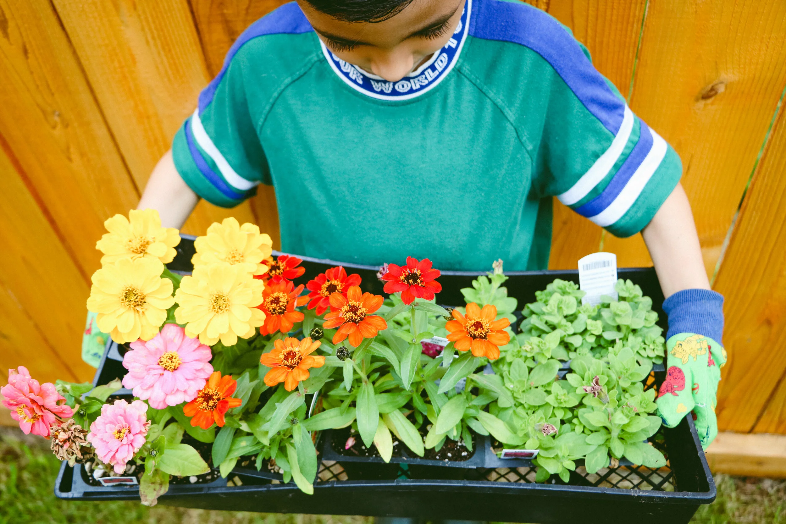 HANGING OUT W. LITTLES: PLANTING FLOWERS 🌼 — All Kids Are Gifted