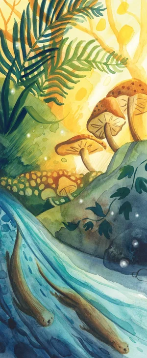 Helen Kellock