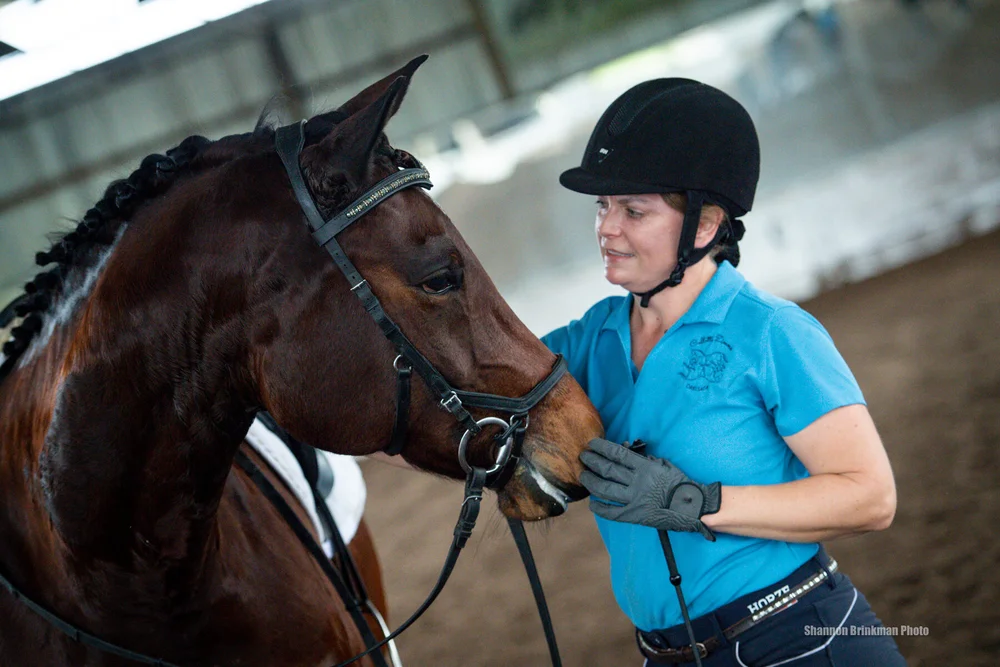 Warmblood Sales — Valhalla Farm