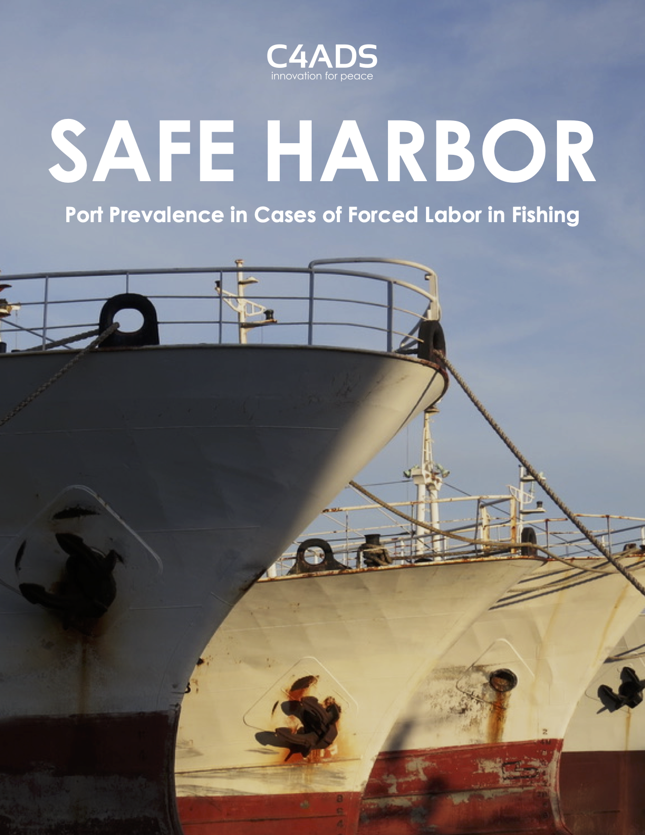 Human Security Cell — C4ADS