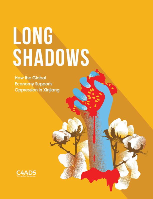 Human Security Cell — C4ADS