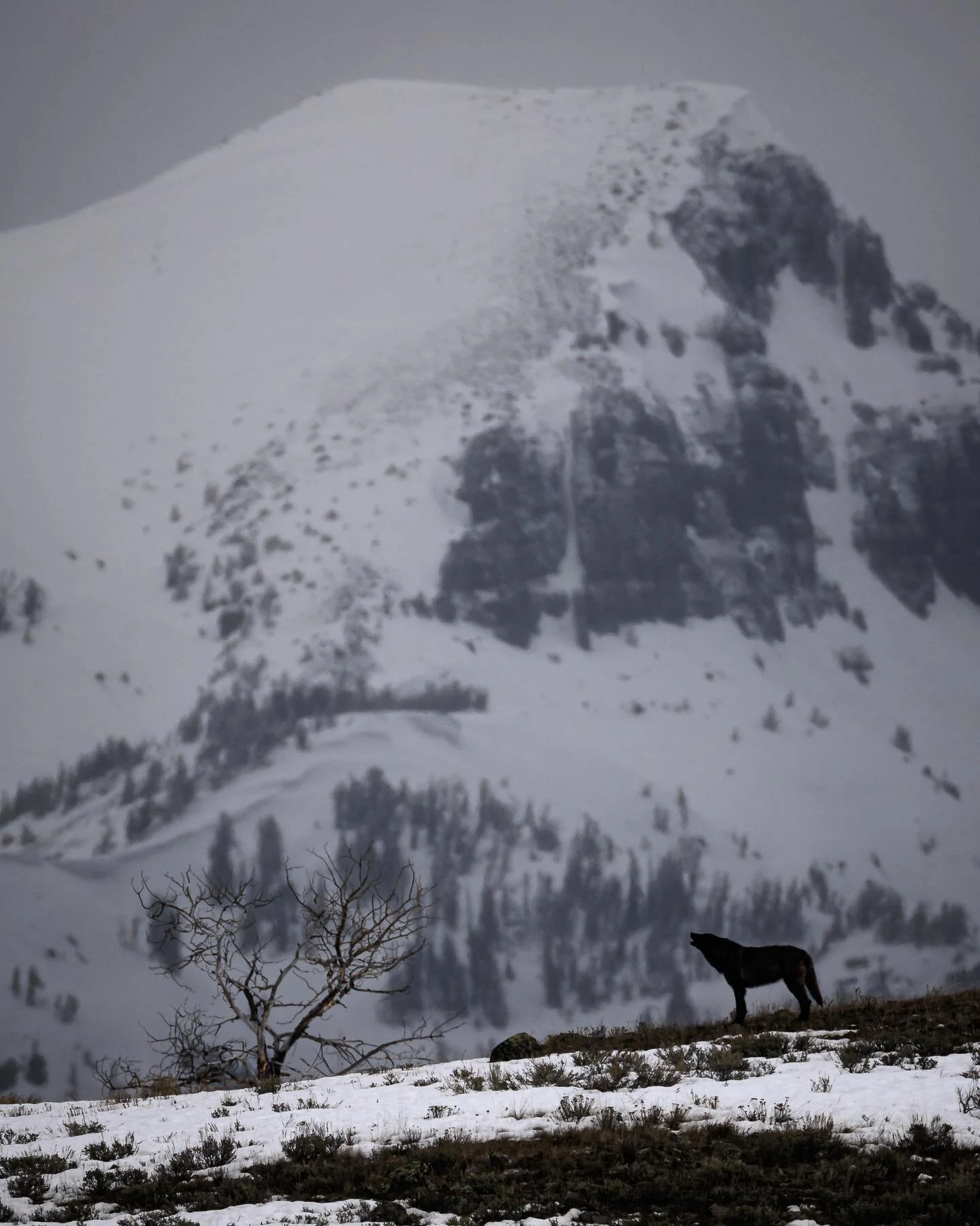Ronan Donovan Photo & Film