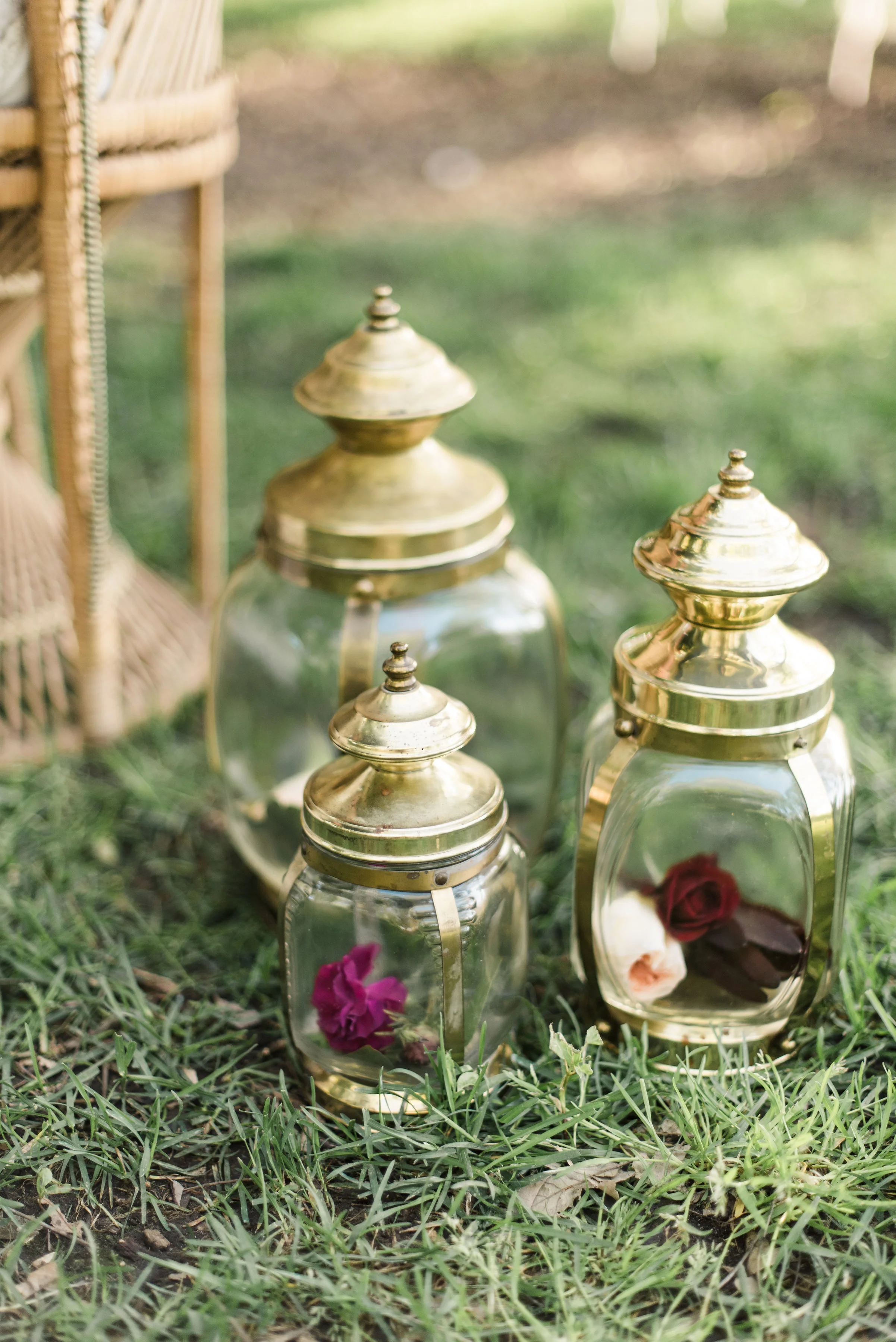 Blog — Prairie Lane