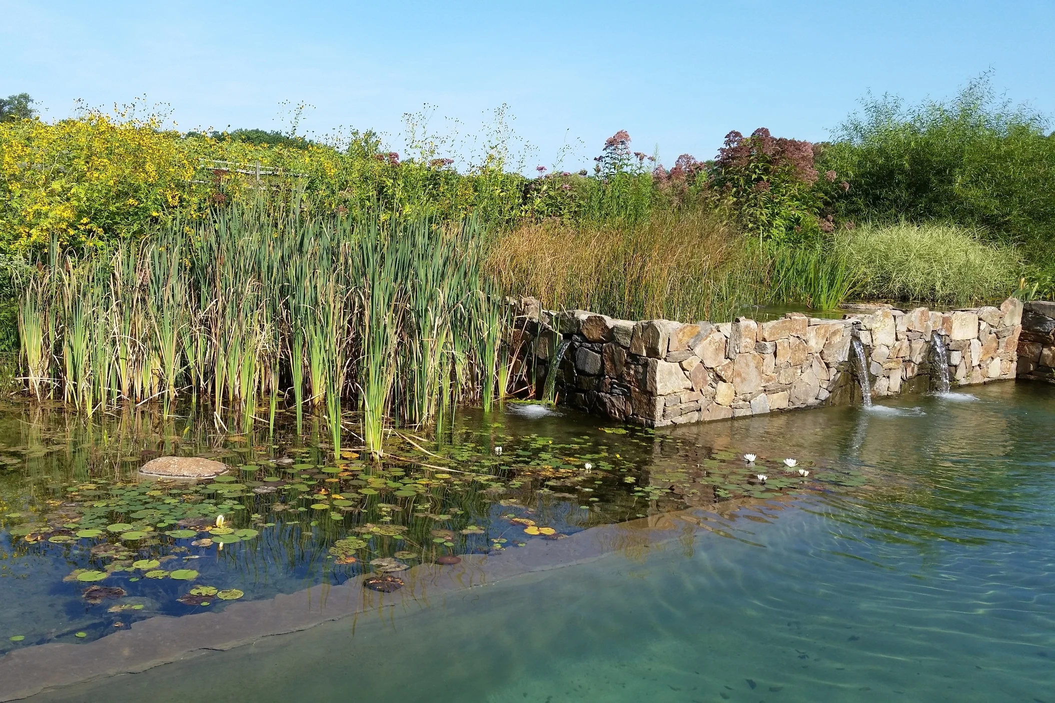 Maintenance Contract Forms And Information PondWorks maintenance-contract-forms-and-information-pondworks