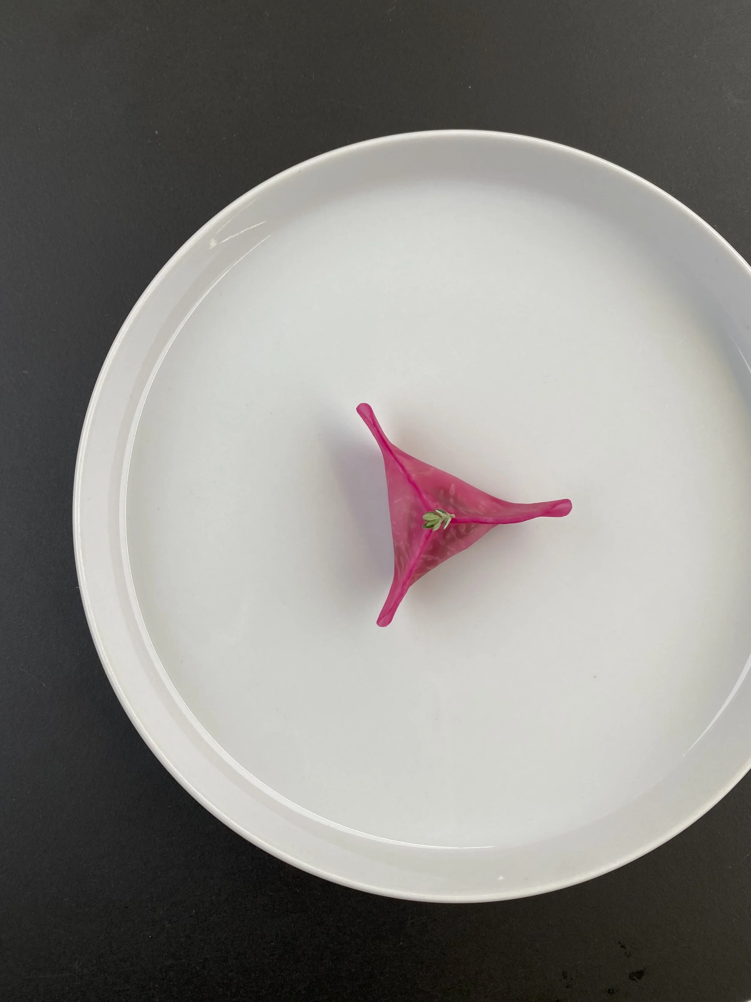 Recipe: Pâté Foix Ravioli — Tastelab