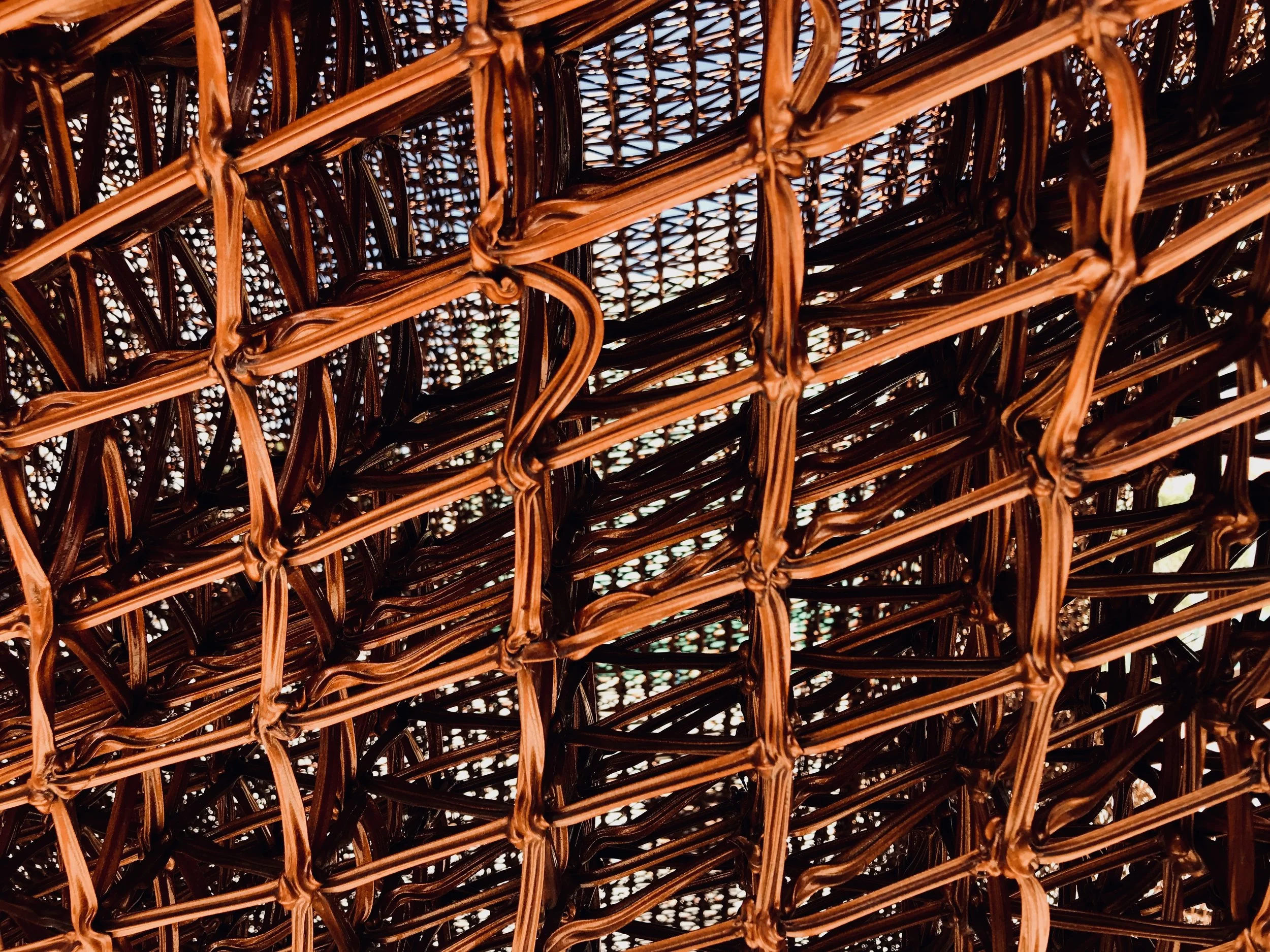 Did you know that Flotsam & Jetsam, the installation in the Jungle ...