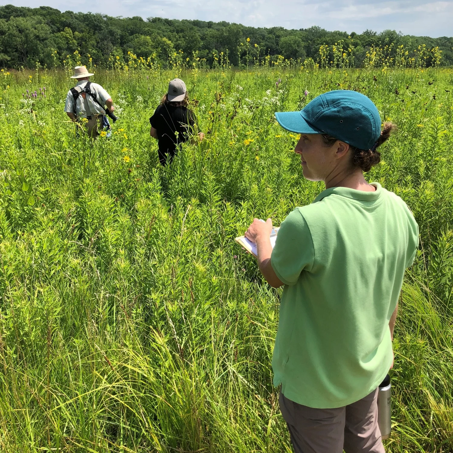 Job Opportunities — The Wetlands Initiative