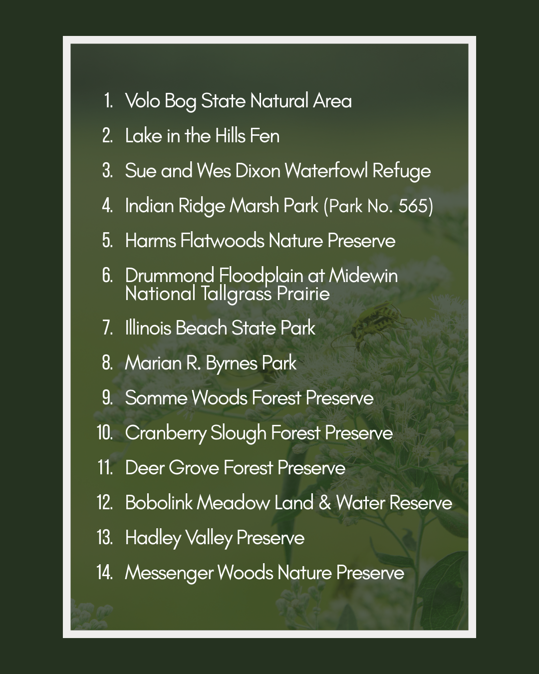 Fourteen Chicago-area Wetlands to Visit This Summer — The Wetlands ...