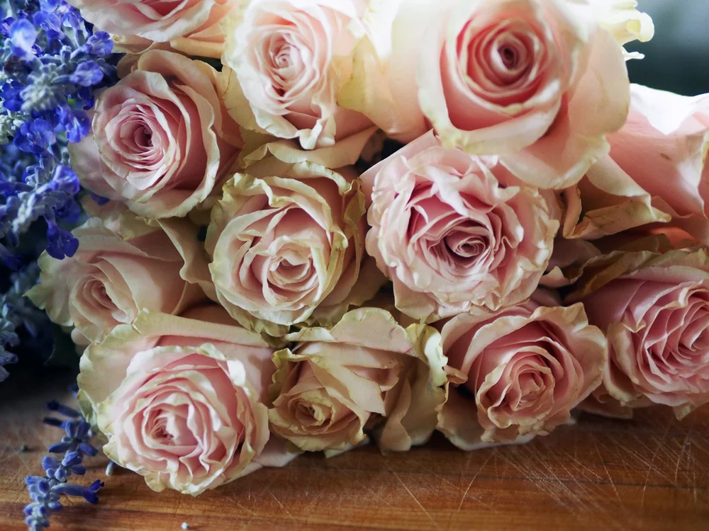 Blush Roses - A Display of Order & Whimsy — 2 STIR WITH LOVE