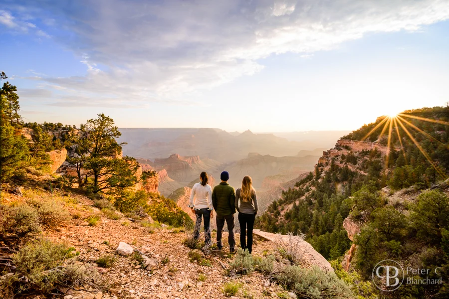 Evidence-Based Art — Manifest Photo & Design