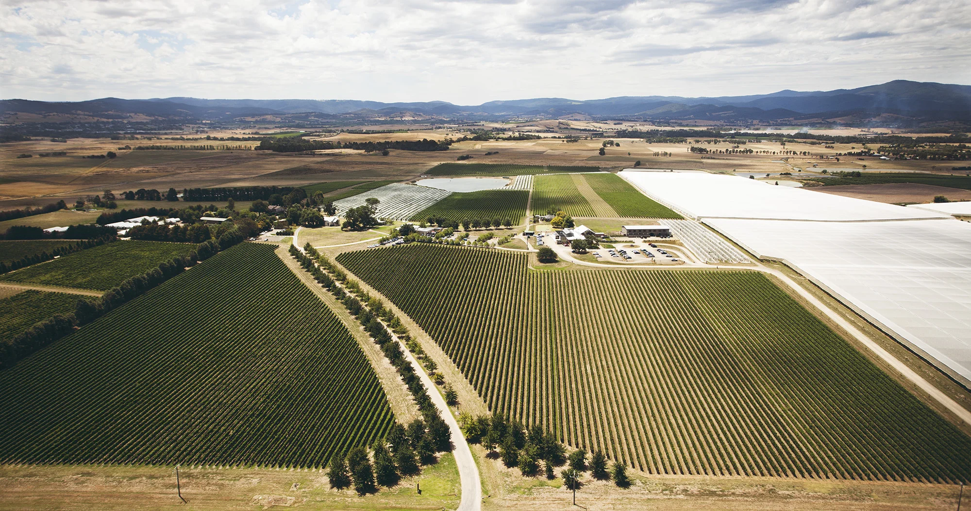 Stunning Sustainability at Stones of the Yarra Valley & Meletos ...