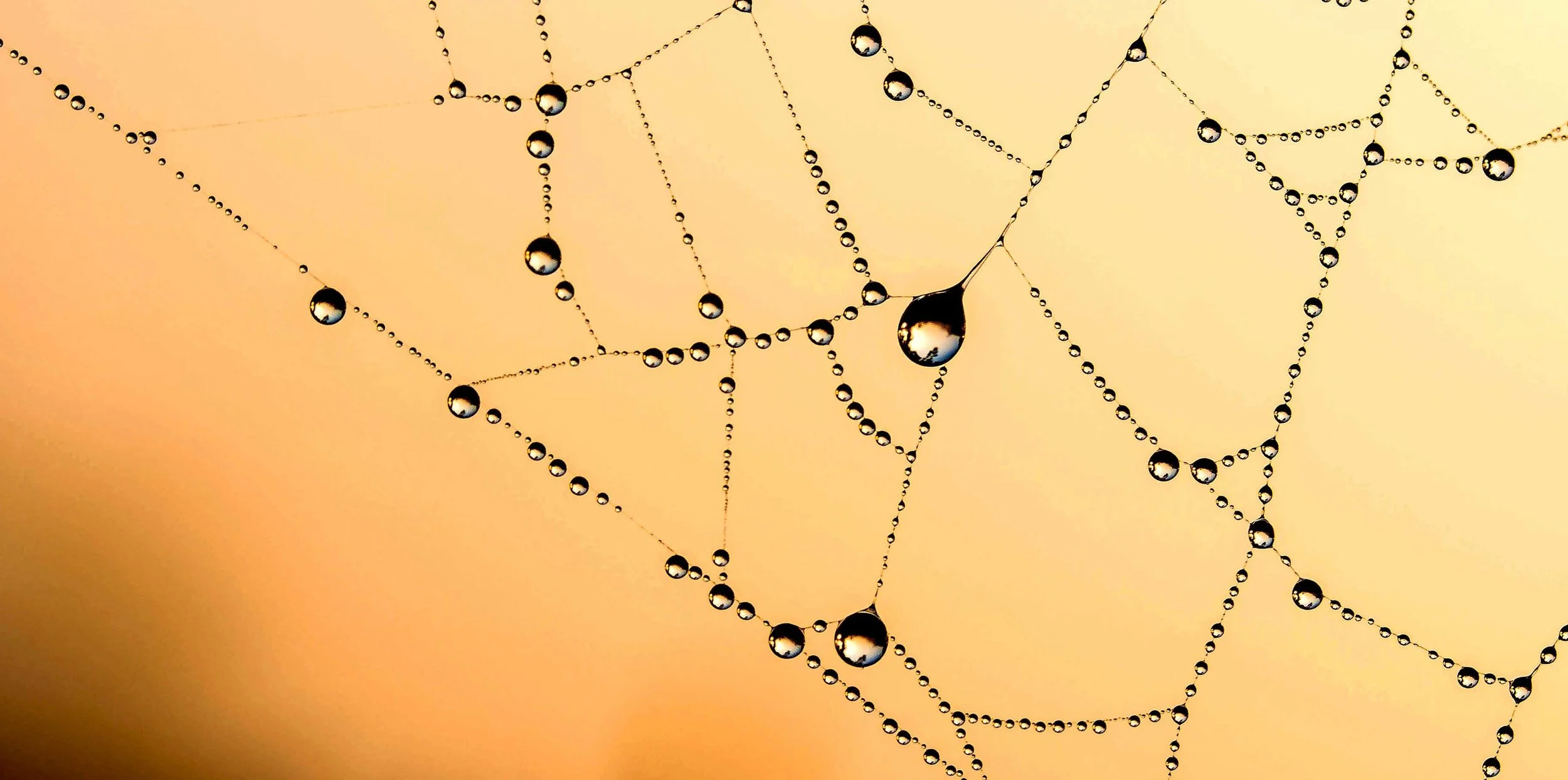 The Science behind eWater | eWater Systems