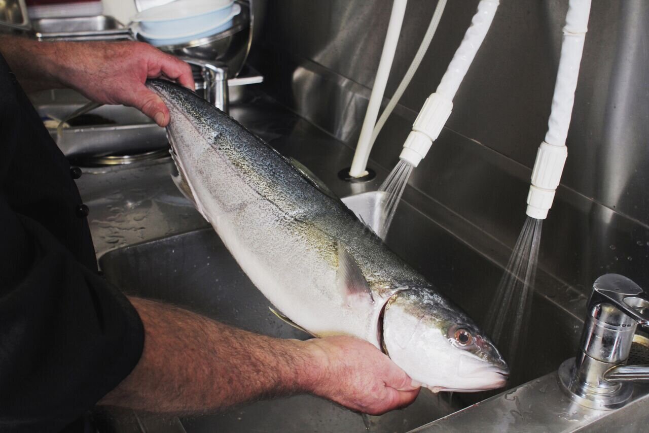 Key Components of Proper Hygiene Management in food service | eWater ...