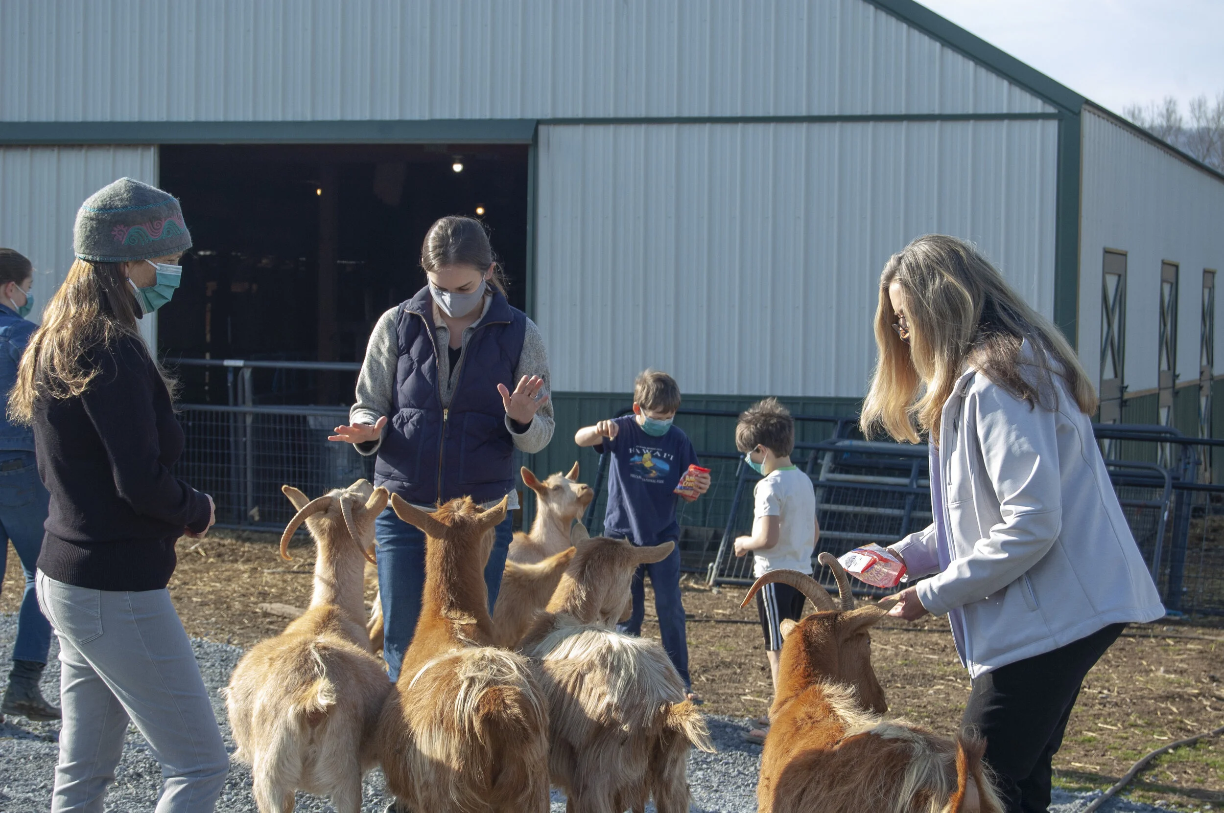 TOURS — Sunny Knoll EcoFarm